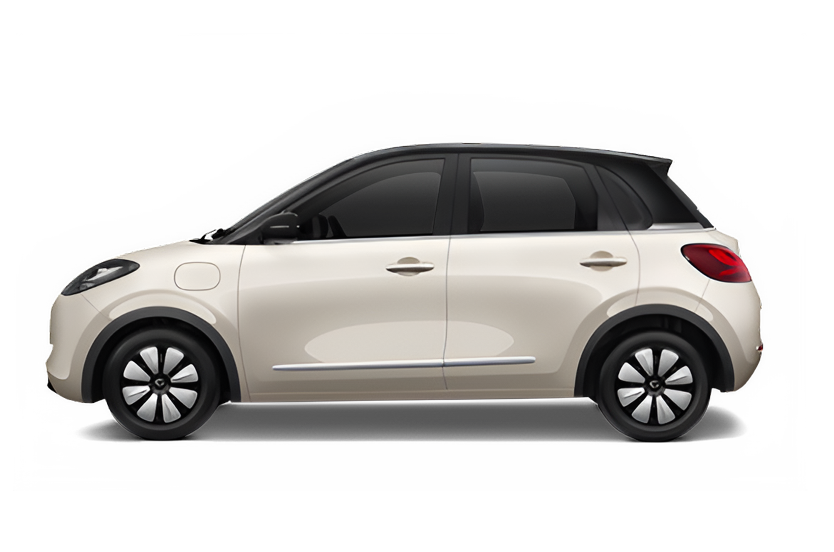 Champagne color for ARI Poly | ARI Motors